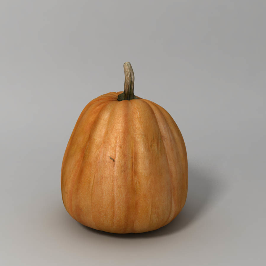free pumpkin 3d model