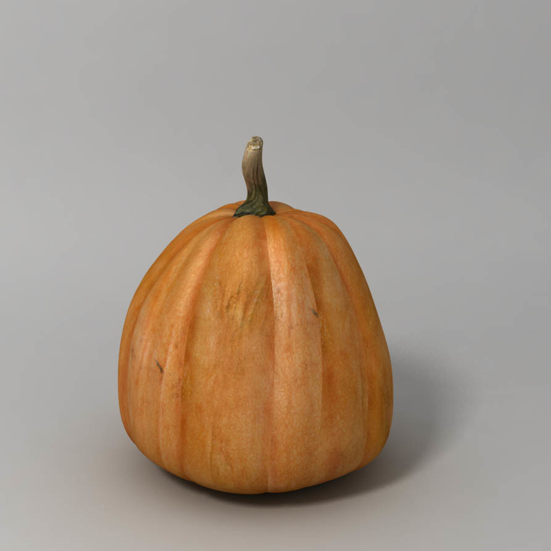 free pumpkin 3d model