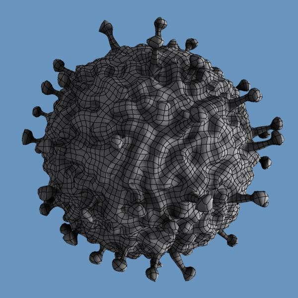 3d pneumovirus model