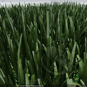 AutoCAD drawing Grass Models | TurboSquid