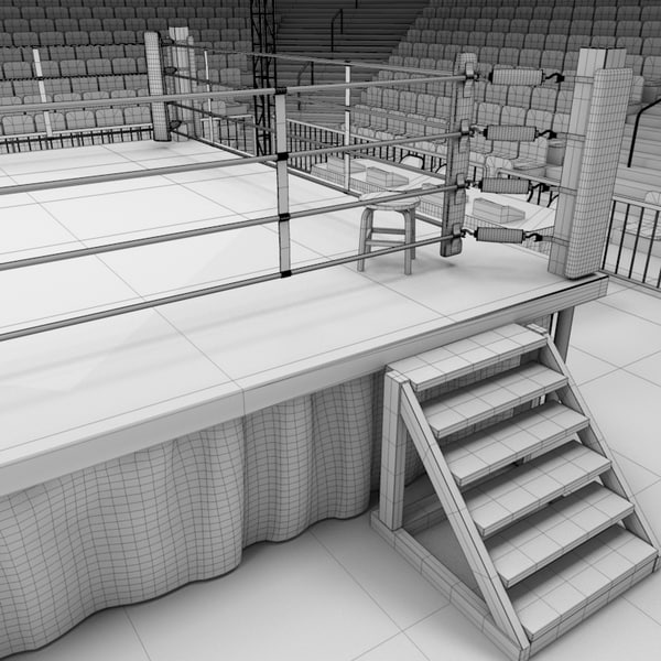 3d model boxing stadium