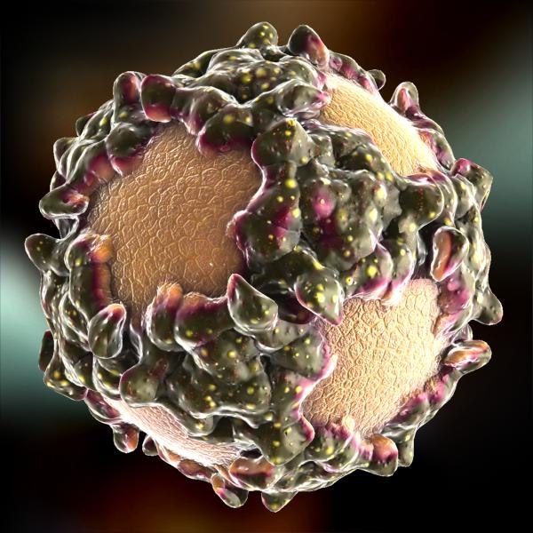 prochlorococcu cyanophage virus max