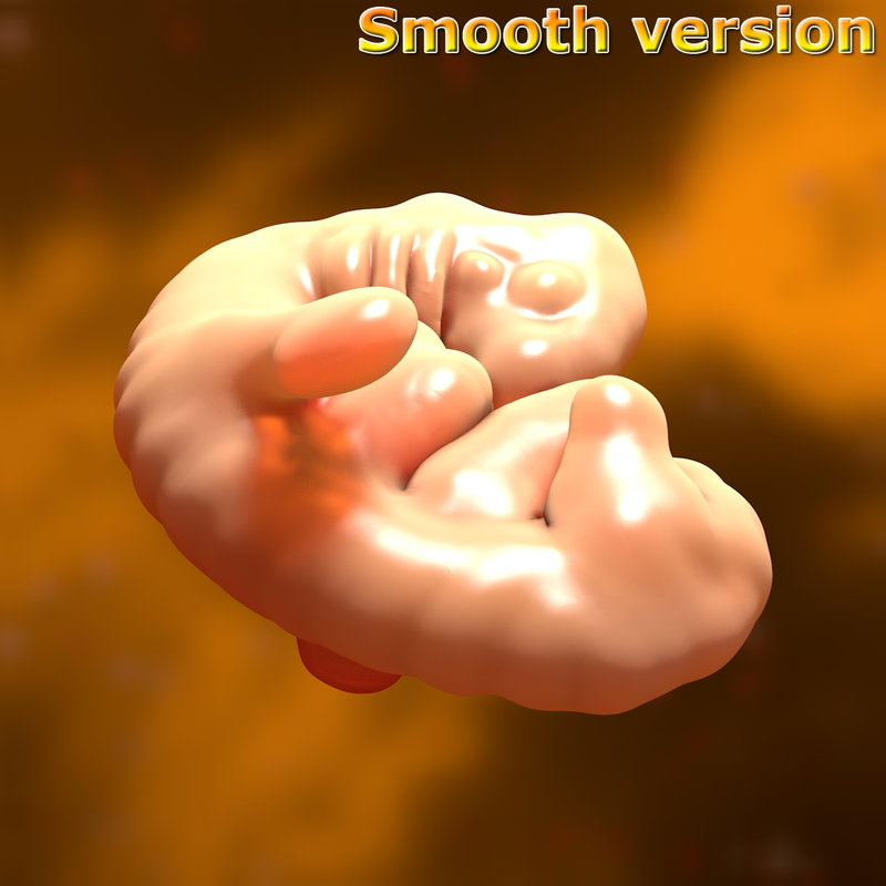 3d human embryo