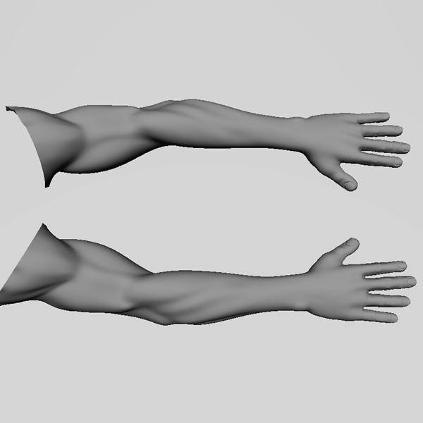 realistic human arm 3d model