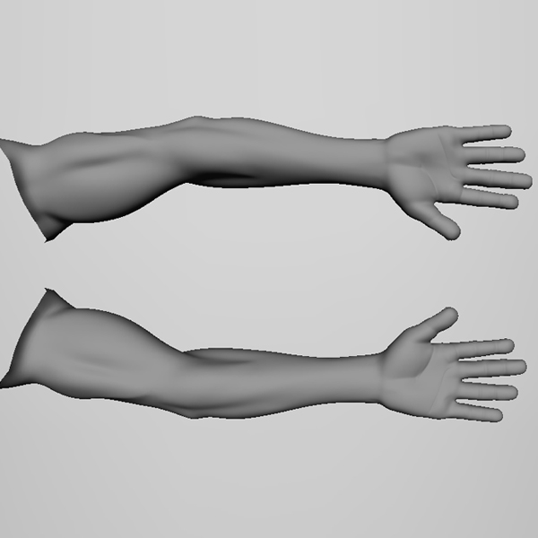 realistic human arm 3d model