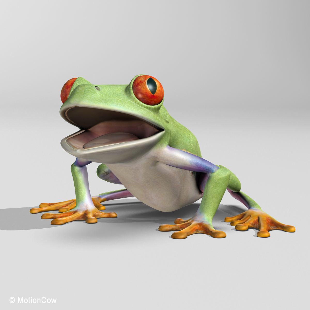 3d red-eyed tree frog model