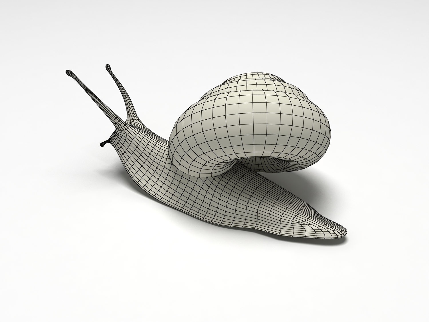 3d snail model