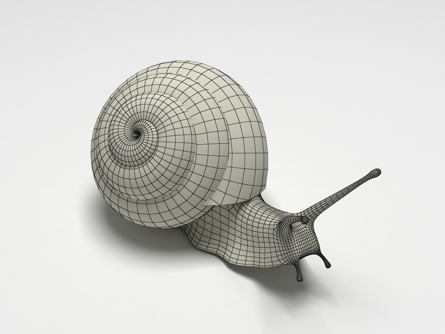 3d snail model
