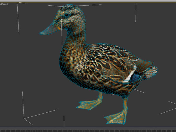 3d model duck