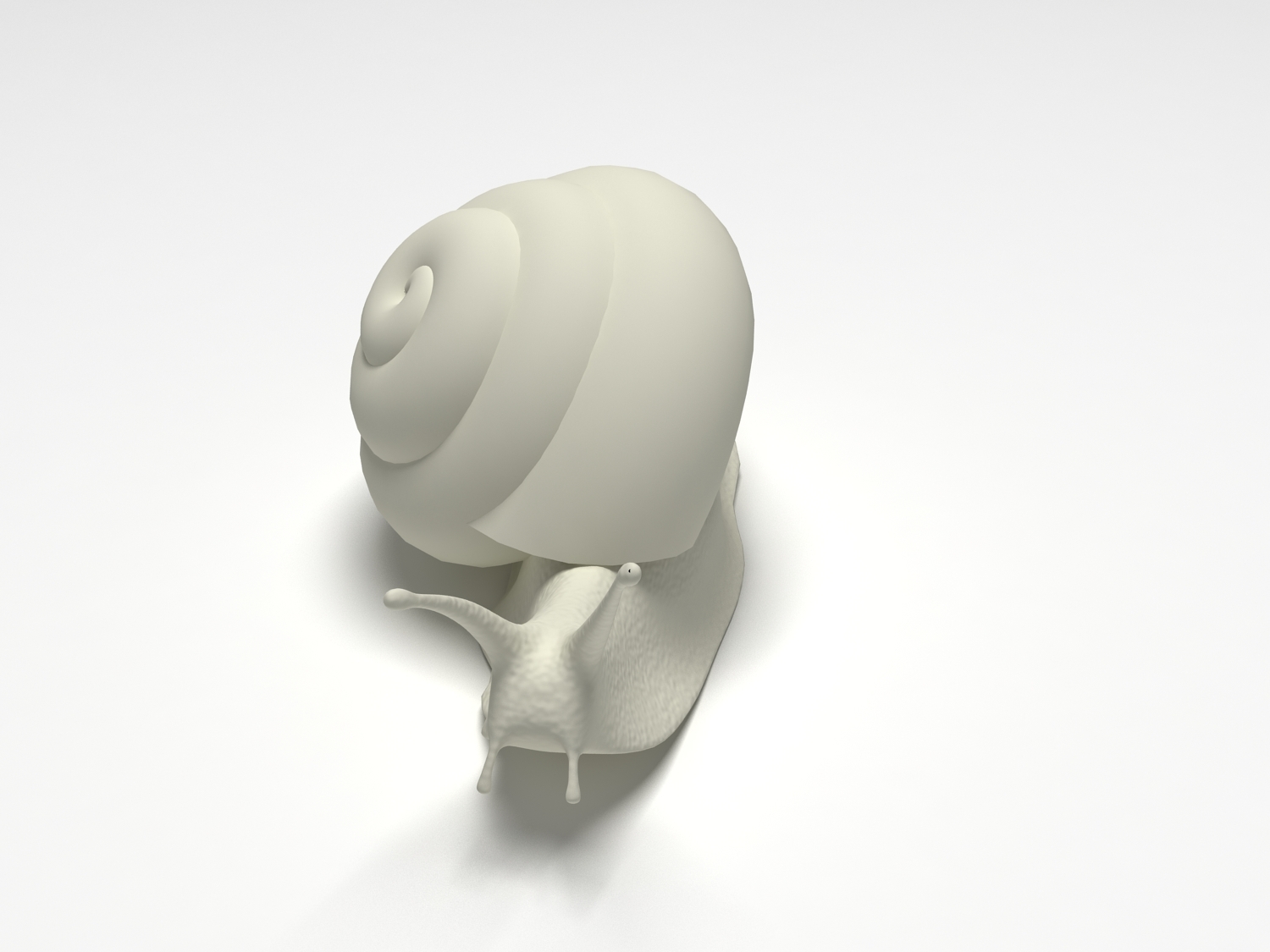 3d snail model