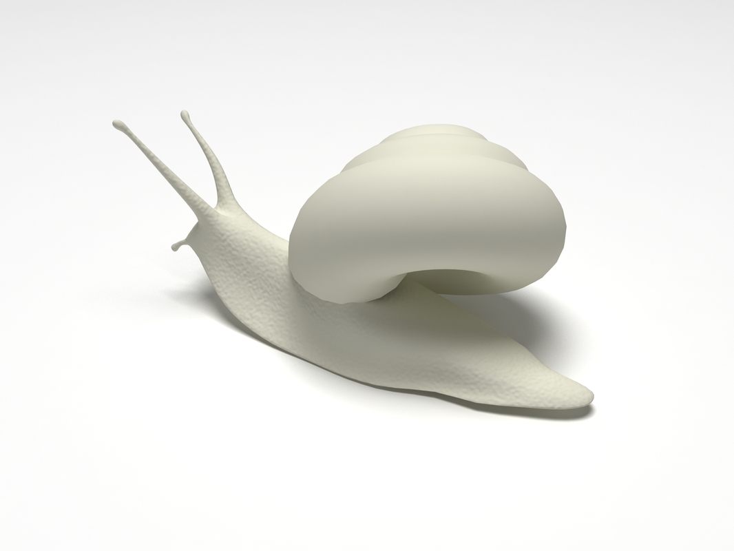 3d snail model