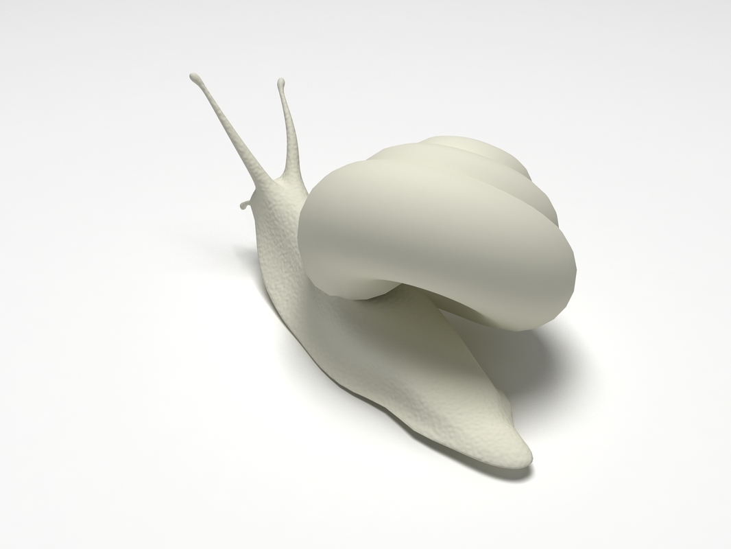 3d snail model