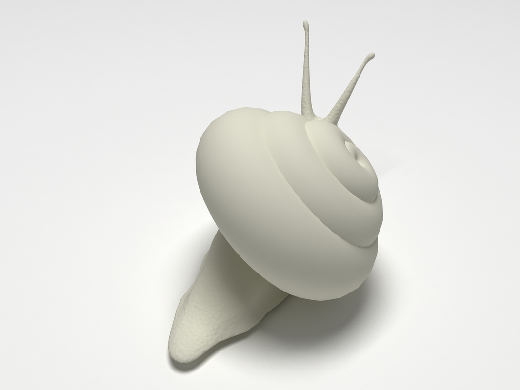 3d snail model