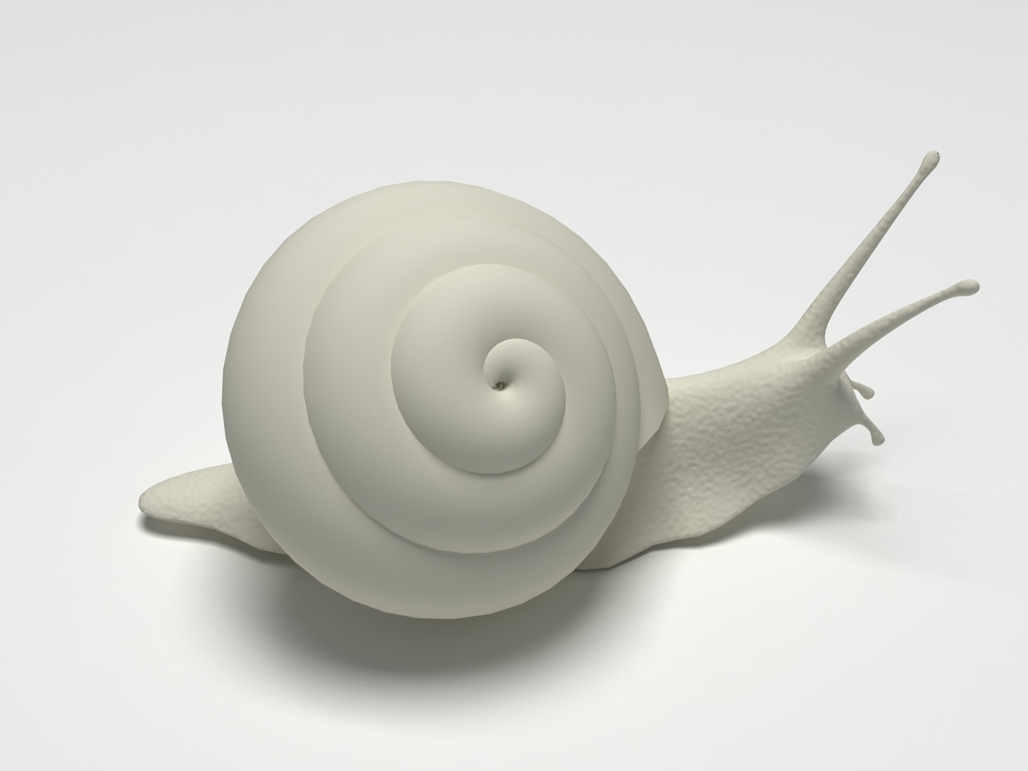 3d snail model
