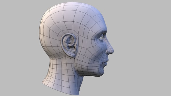 realistic male head topology 3d obj