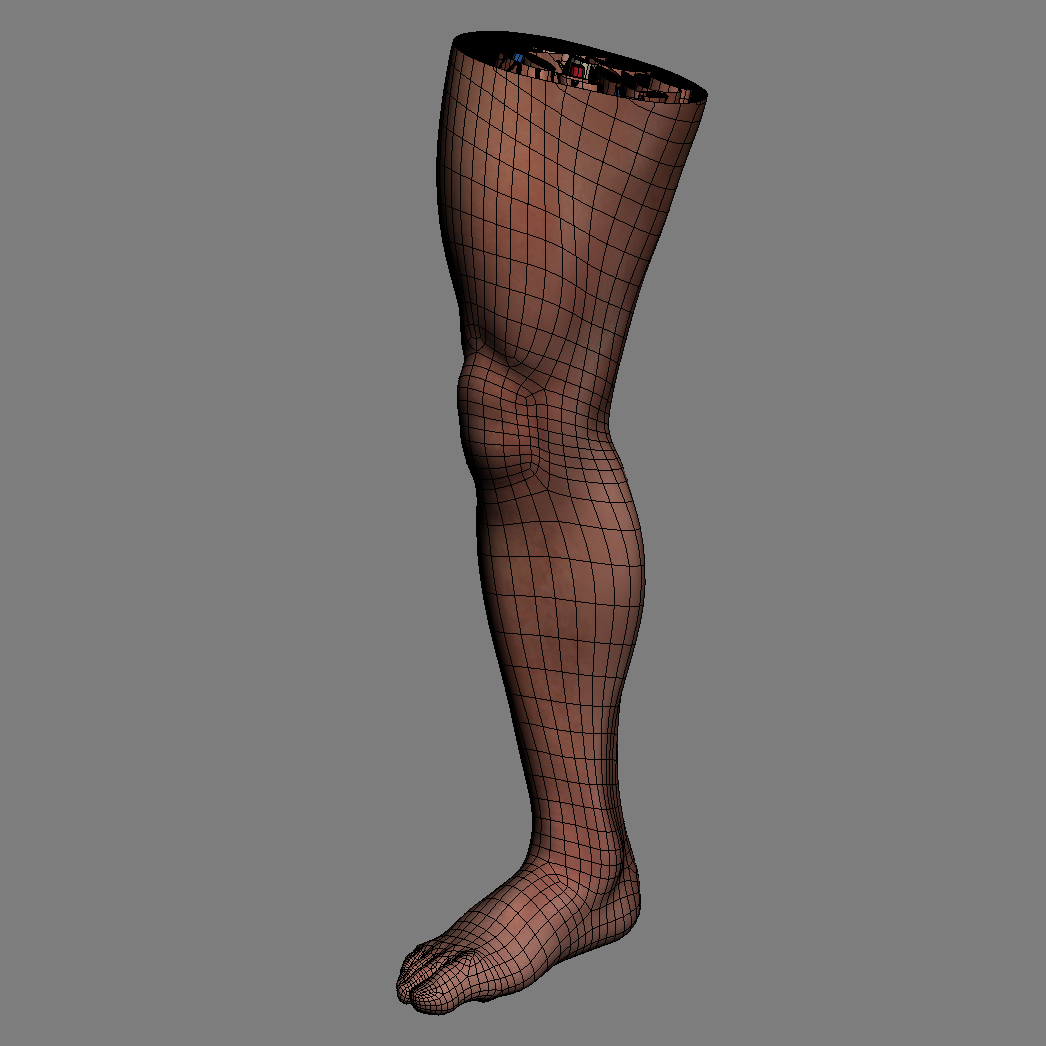 3ds human male leg anatomy
