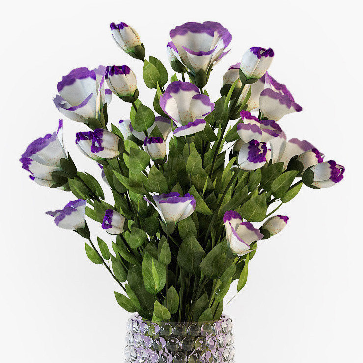 eustoma flowers vase max