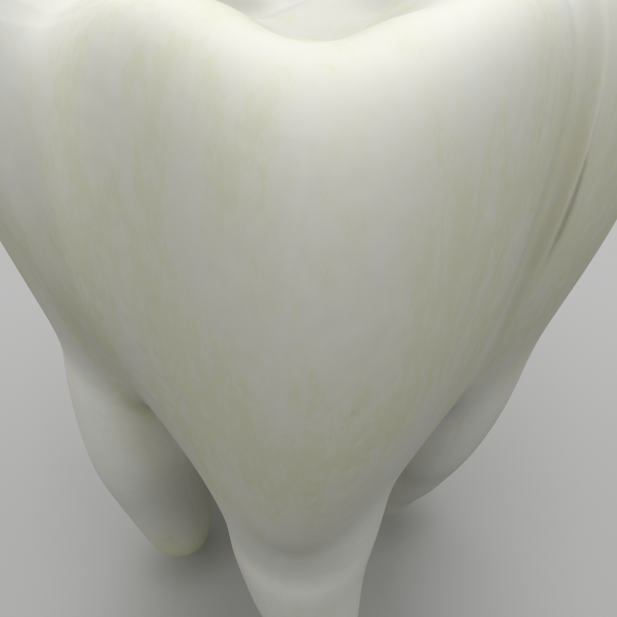 3d model tooth