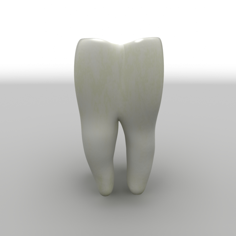 3d model tooth