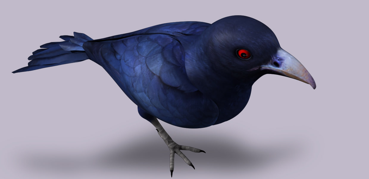 Koel 3D 모델 - TurboSquid 680721