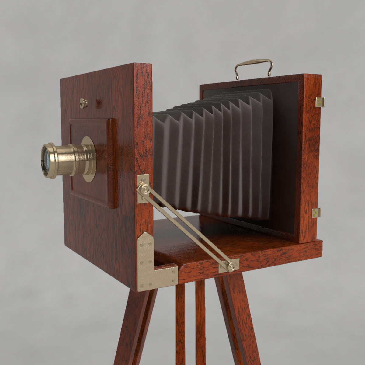 max 19th century camera