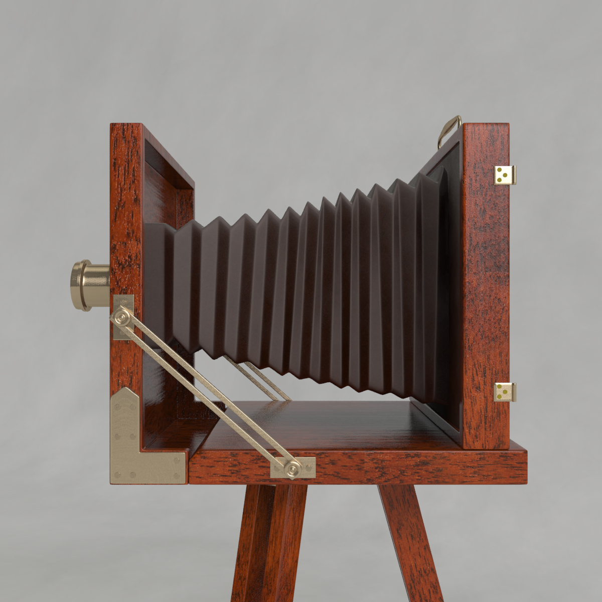 max 19th century camera