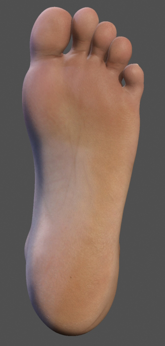 maya realistic foot