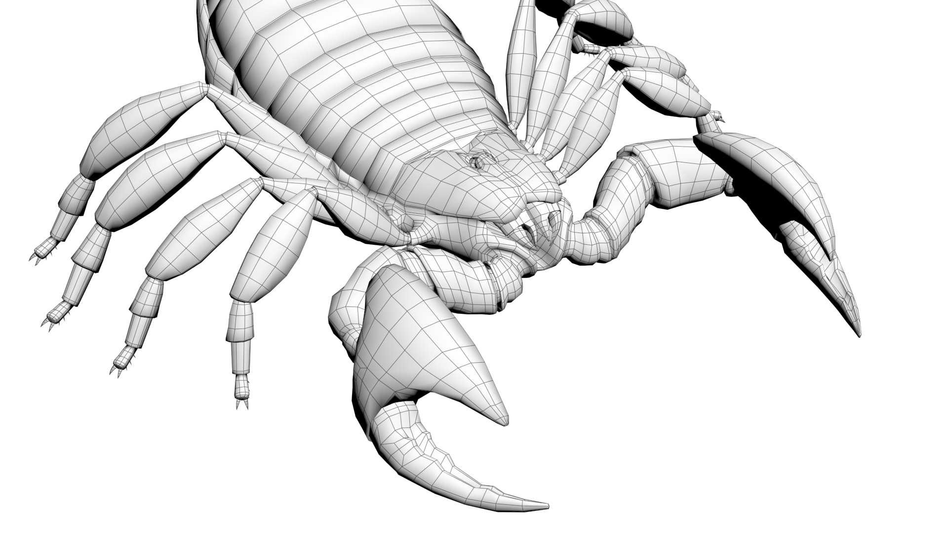 3d rigged scorpion