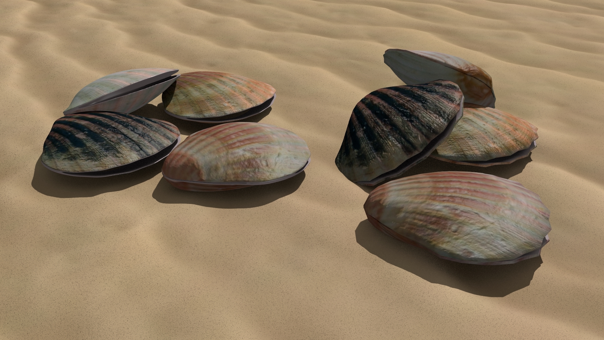 sea shells 3d model
