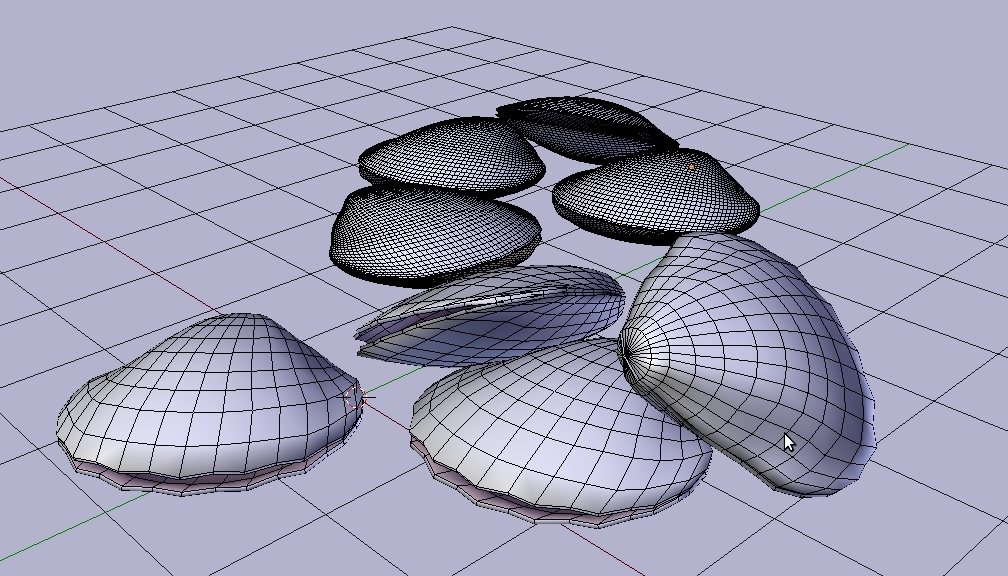 sea shells 3d model