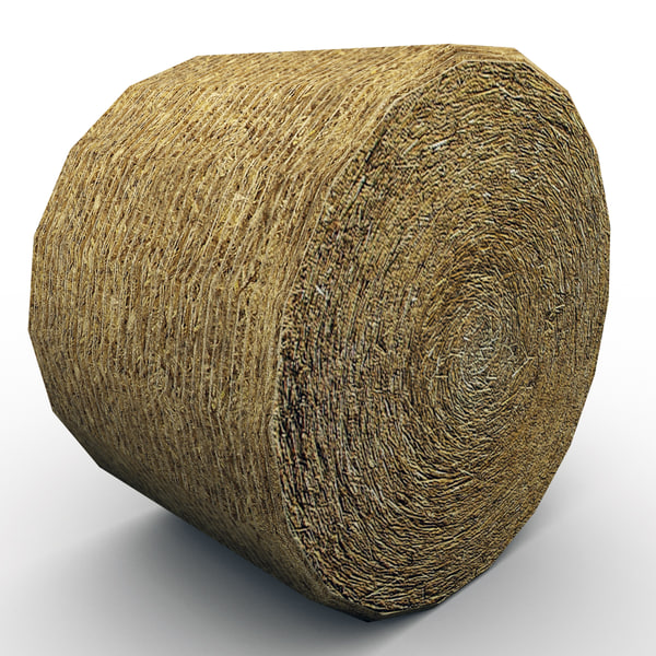 Haystack 3D Models and Textures | TurboSquid.com