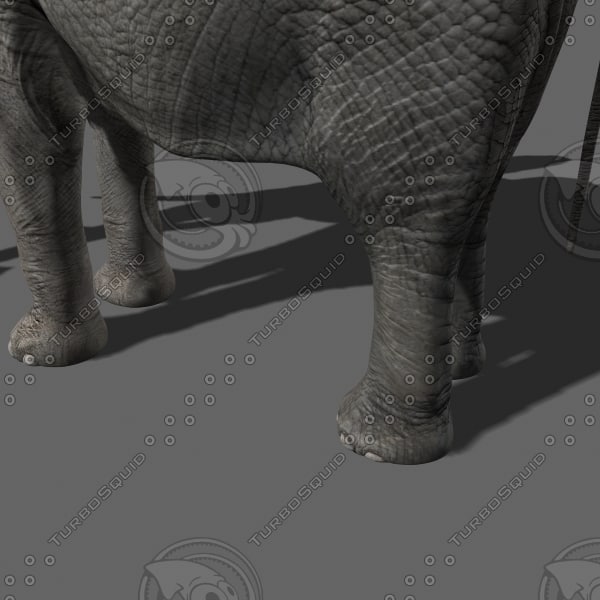 3d model elephant rig