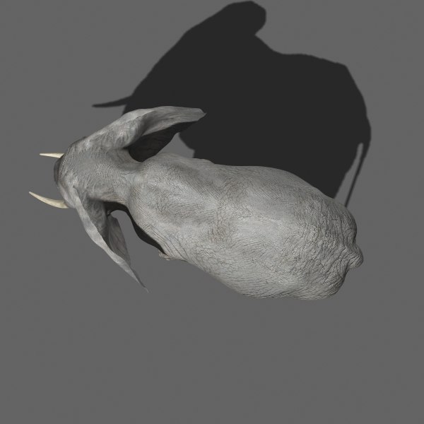 3d model elephant rig