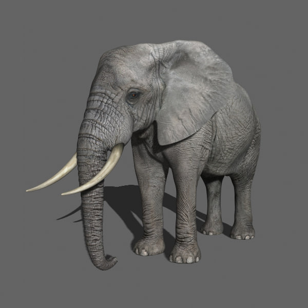 3d model elephant rig