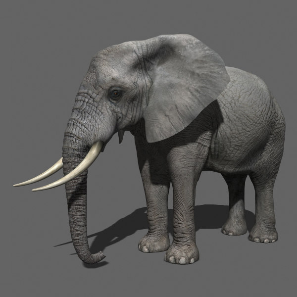 3d model elephant rig