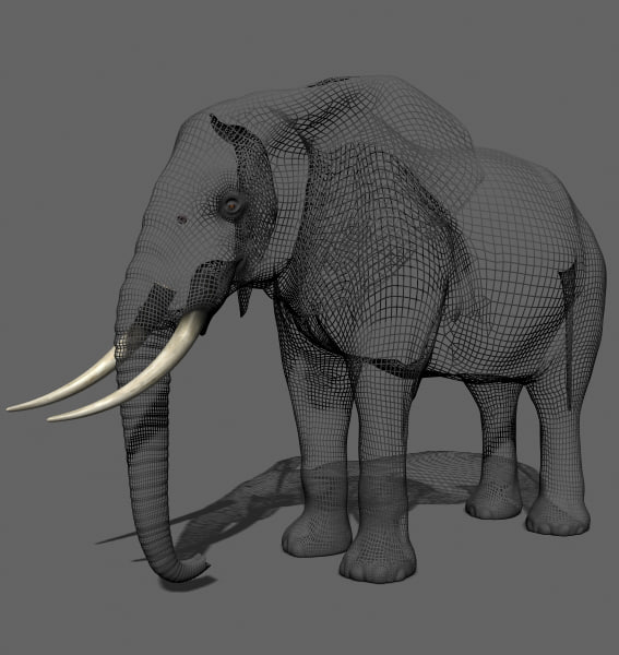 3d model elephant rig