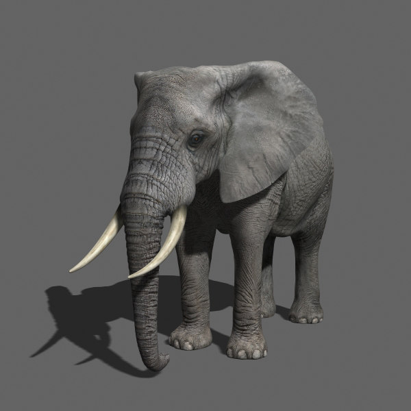3d model elephant rig