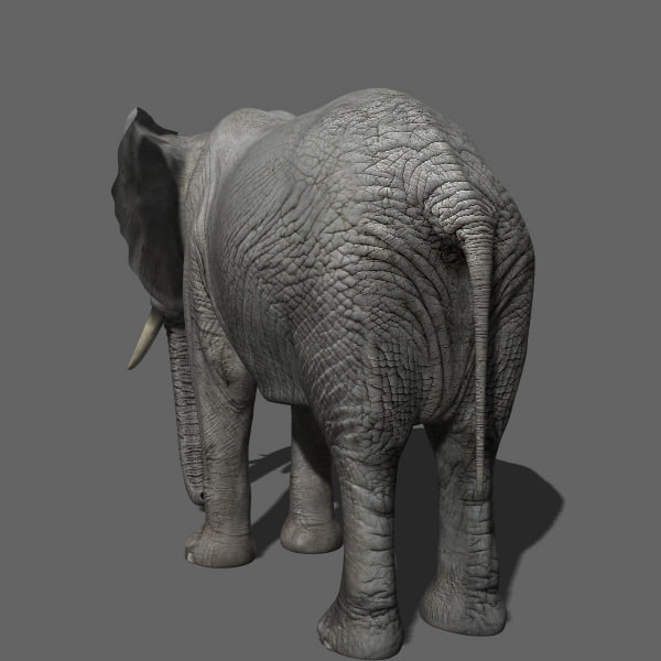 3d model elephant rig