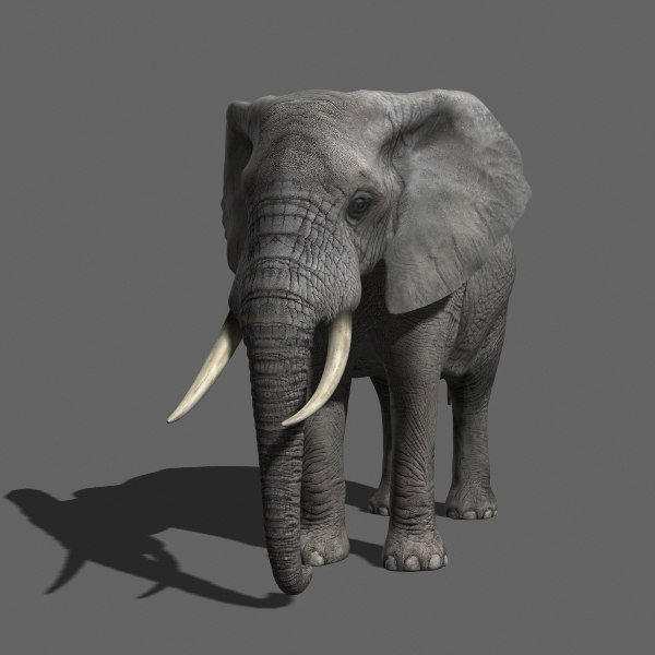 3d model elephant rig