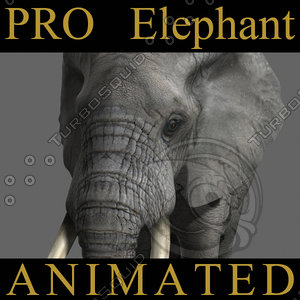 3d model elephant rig
