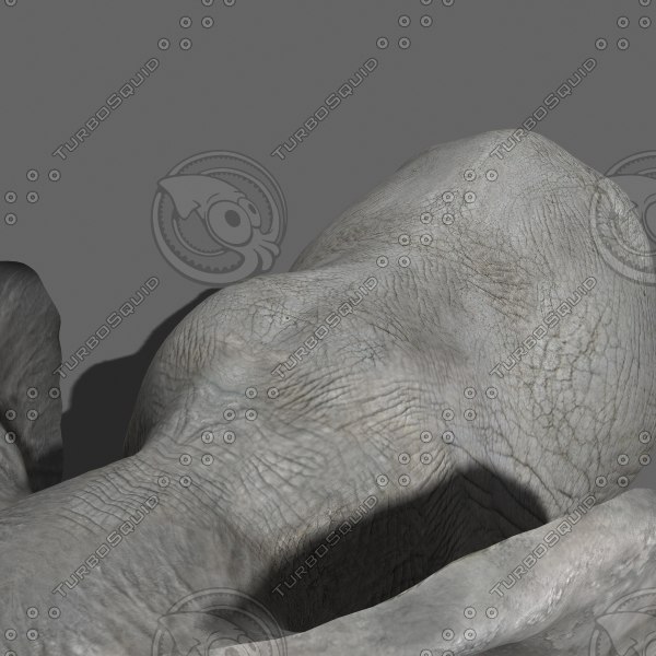 elephant pros 3d