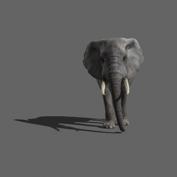 elephant pros 3d