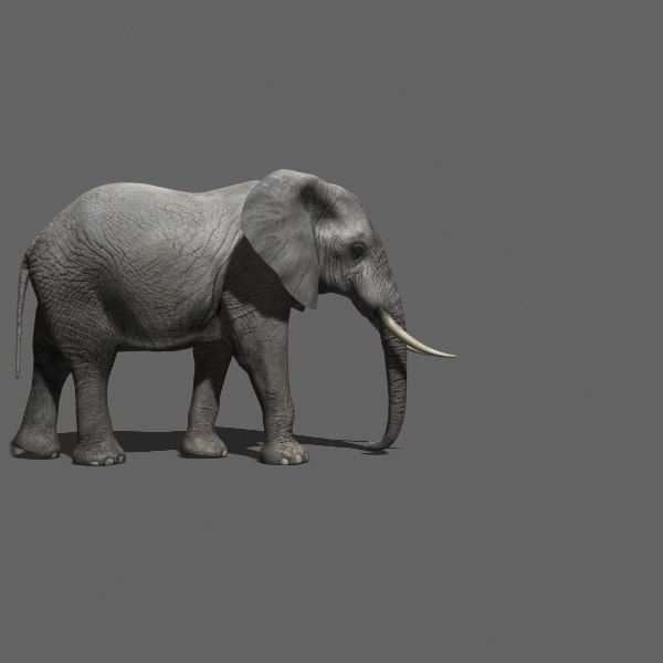 elephant pros 3d