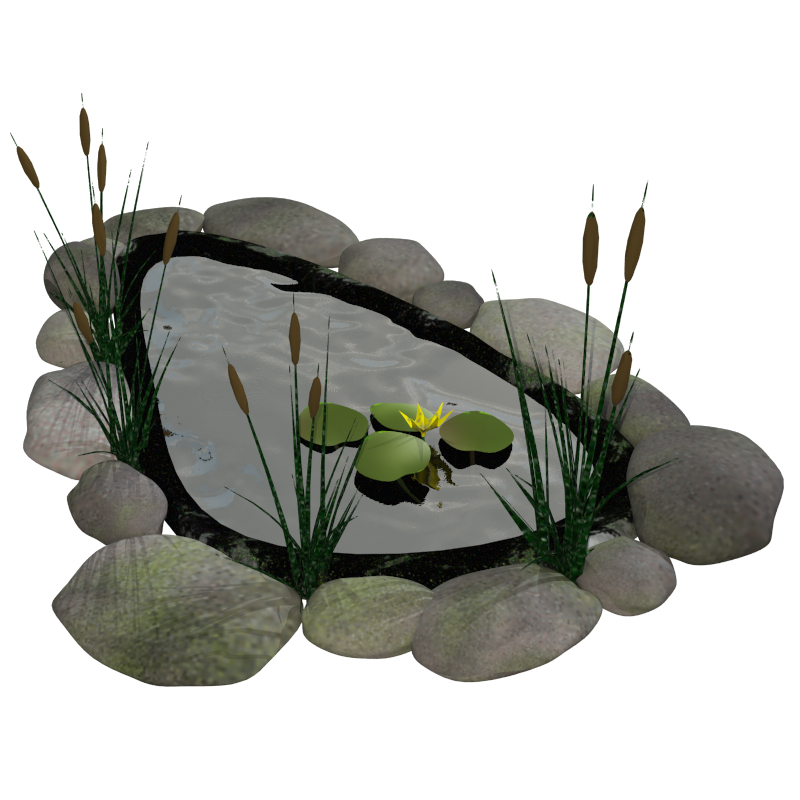fish pond 3d model