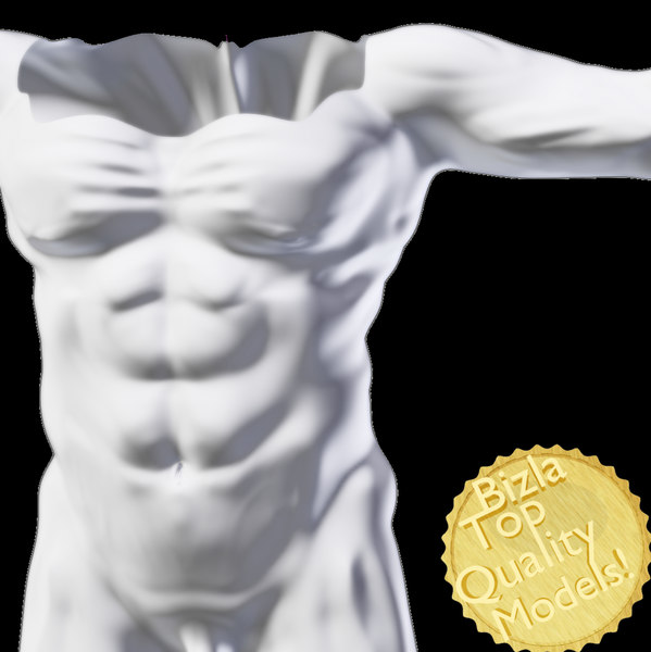 Blender Male Body Models | TurboSquid