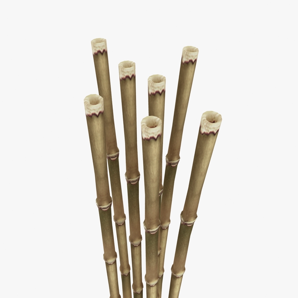 3d model dried bamboo cane