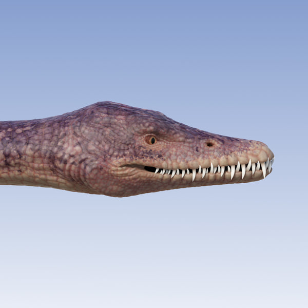 plesiosaurus 3ds