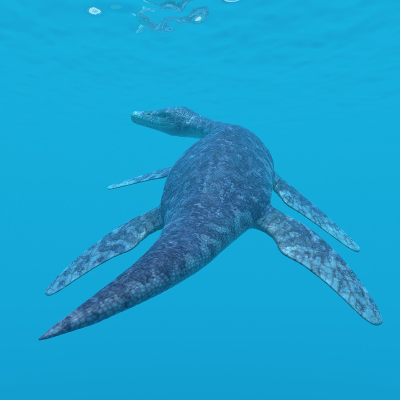 plesiosaurus 3ds