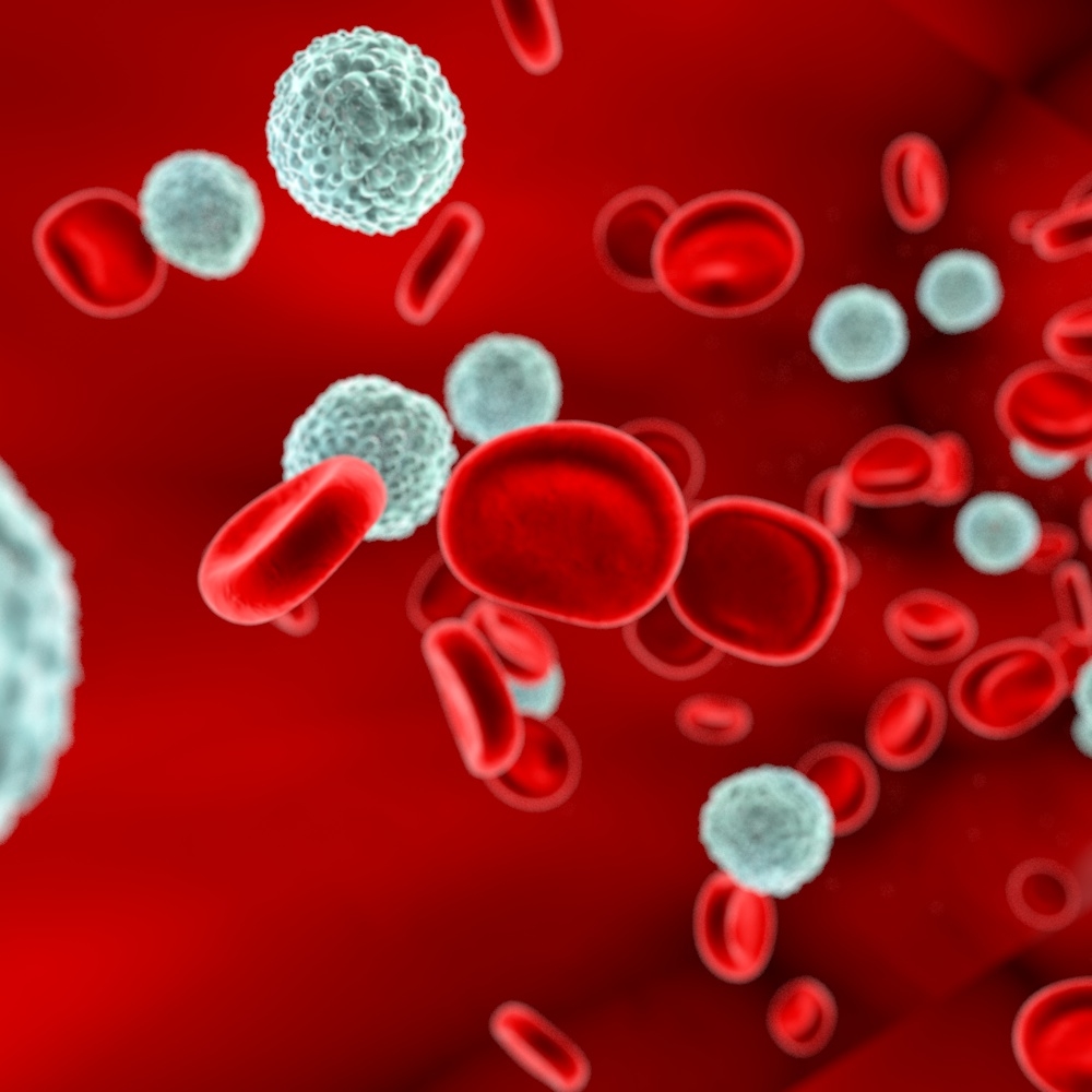 blood red white cells 3ds