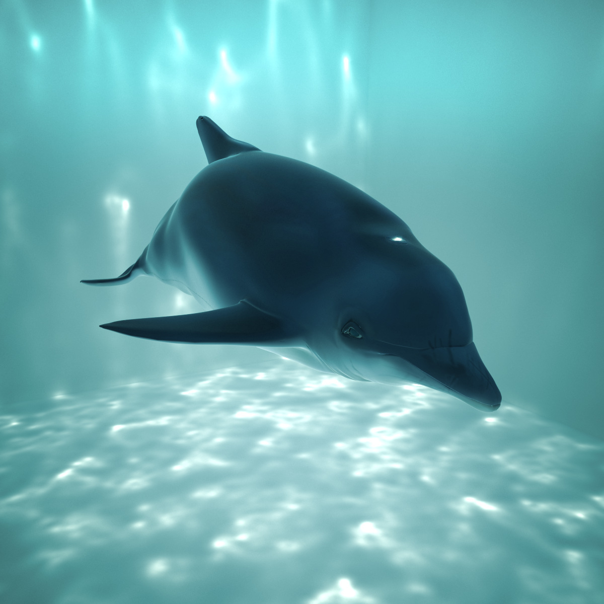 dolphin animation flippers 3d max